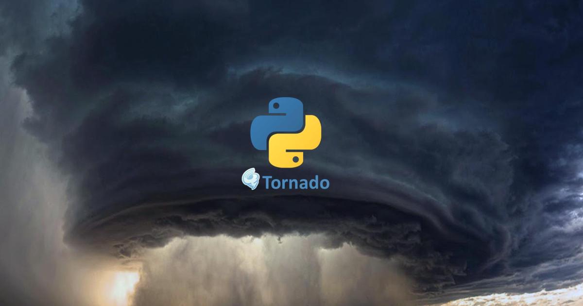 Setup Server WebSocket di Python 3 Raspberry Pi | Narin Laboratory